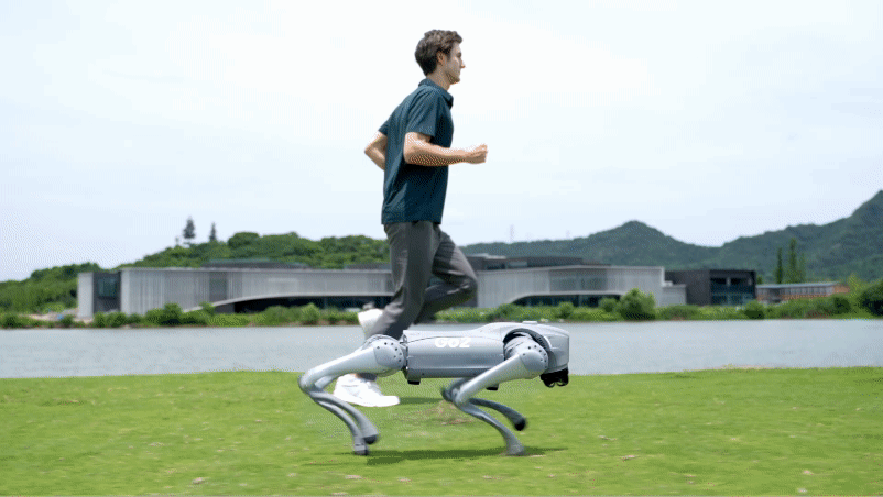 Unitree Go2 - Gohobby